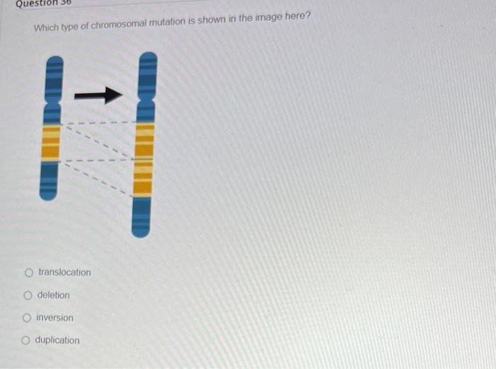 Solved Which type of chromosomal mutation is shown in the | Chegg.com