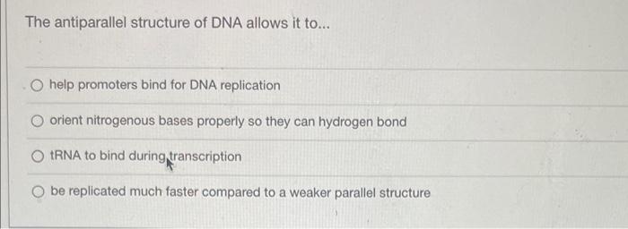 Solved The antiparallel structure of DNA allows it to... | Chegg.com