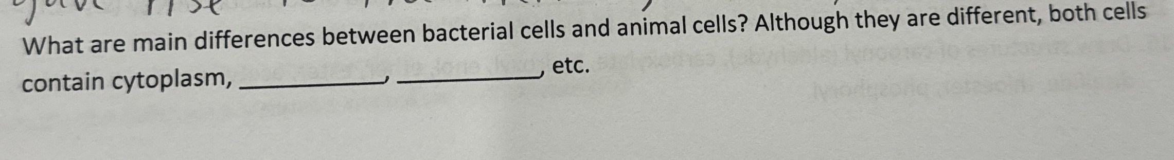 Solved What are main differences between bacterial cells and | Chegg.com