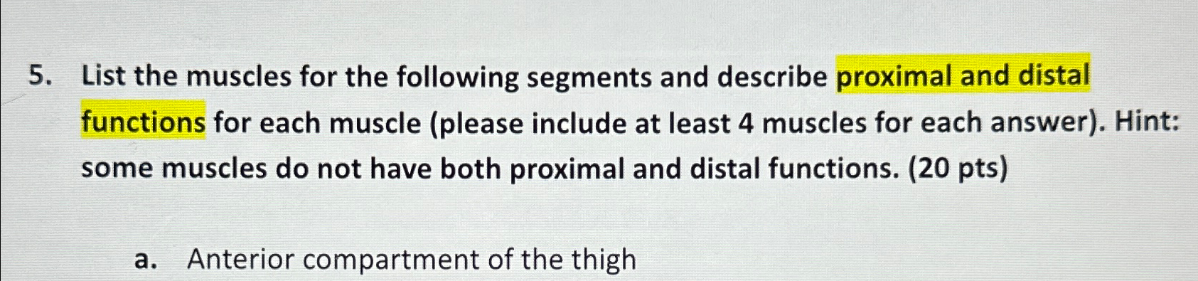 Solved List the muscles for the following segments and | Chegg.com