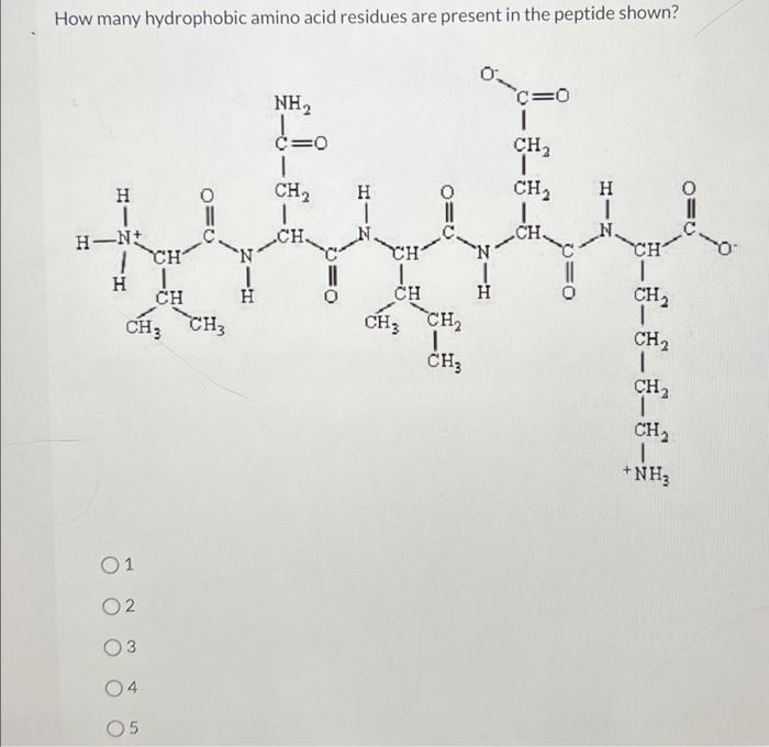 Solved How many hydrophobic amino acid residues are present | Chegg.com