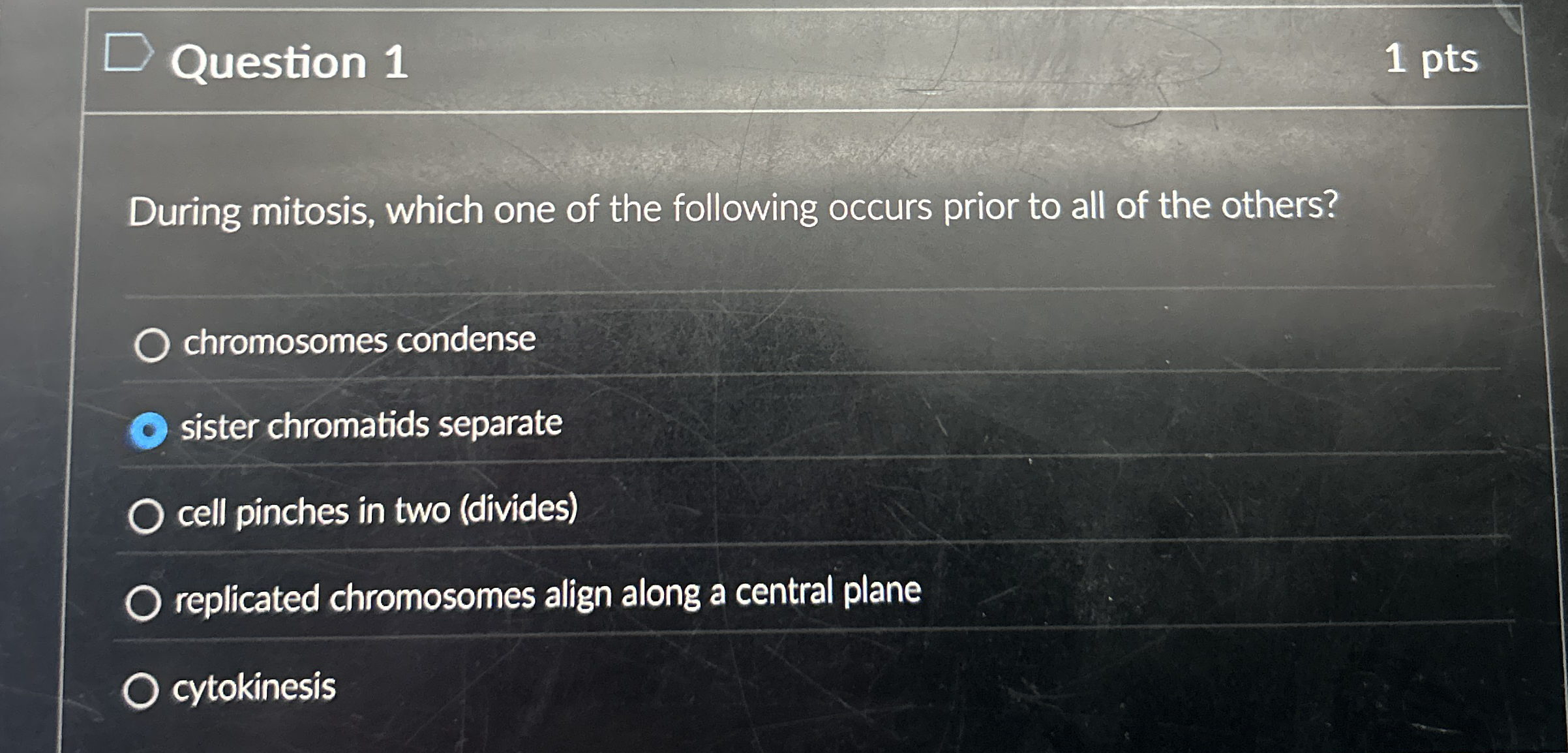Solved Question 11 ﻿ptsDuring mitosis, which one of the | Chegg.com