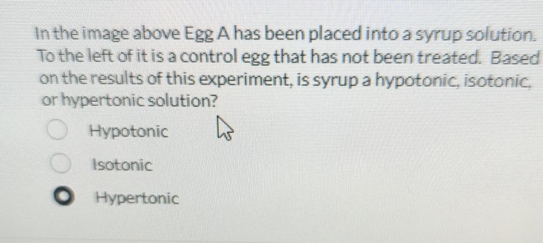 Solved In the image above Egg A has been placed into a syrup | Chegg.com