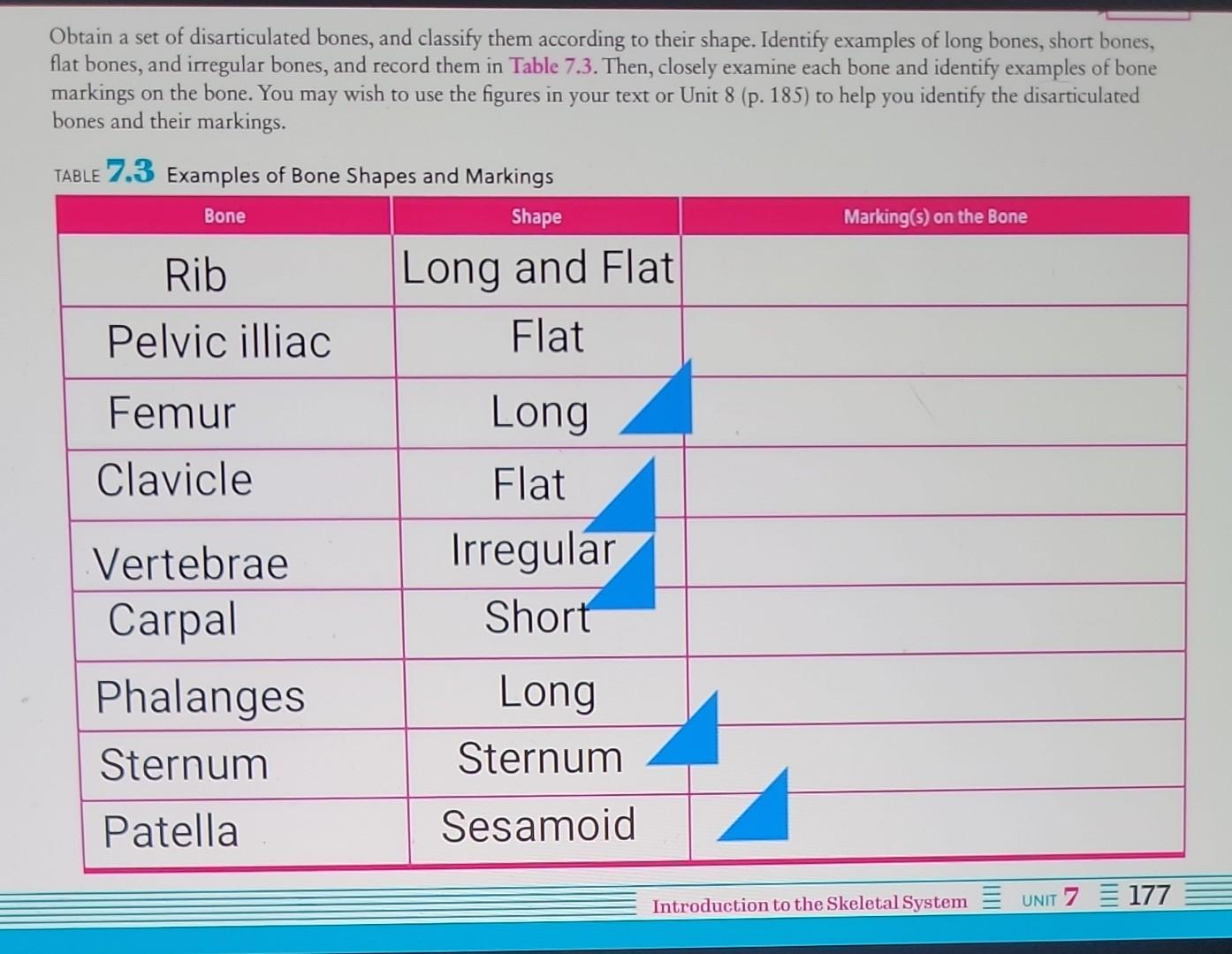 Solved Obtain A Set Of Disarticulated Bones And Classify