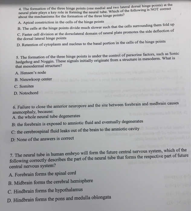 Solved 4. The formation of the three hinge points (one | Chegg.com