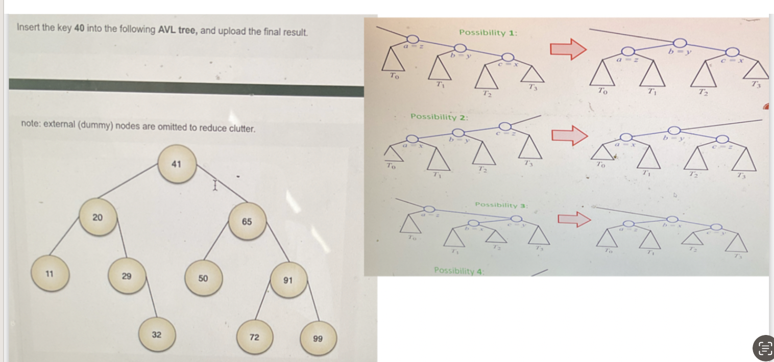 Solved Insert the key 40 ﻿into the following AVL tree, and | Chegg.com