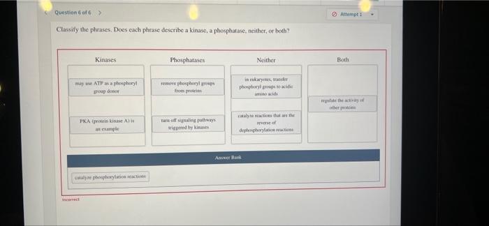 Solved Question 6 of 6 > Classify the phrases. Does each | Chegg.com