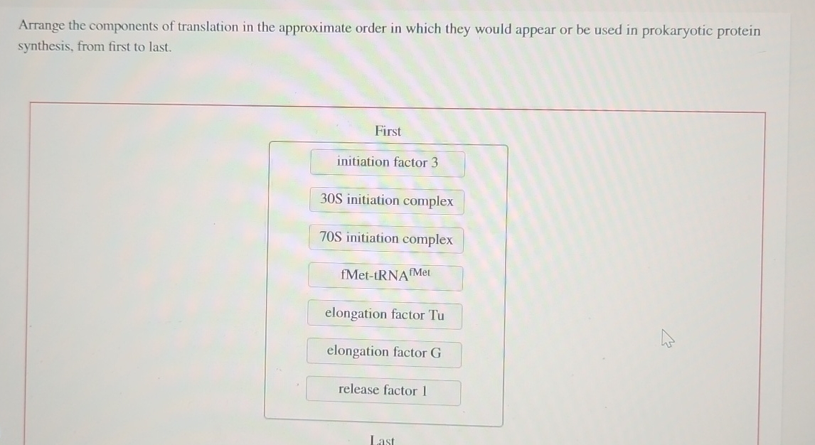 Arrange the components of translation in the | Chegg.com