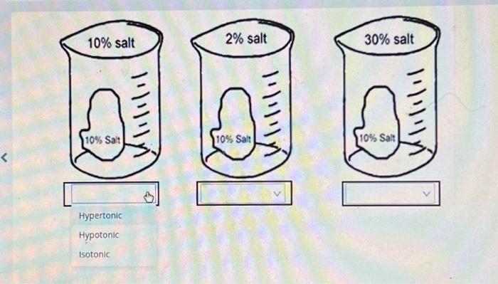 Hypertonic Hypotonic Isotonic