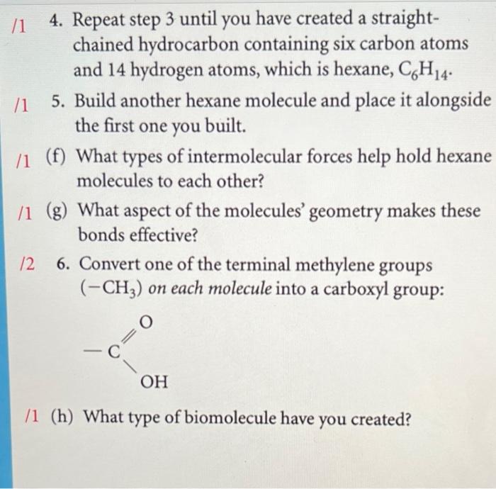 Solved Biological Macromolecules in 3-D In this activity, | Chegg.com