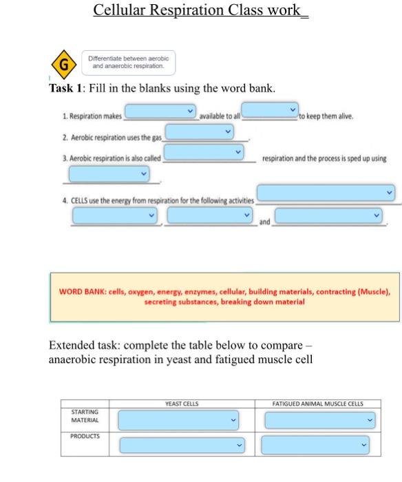 Solved Cellular Respiration Class work Task 1: Fill in the | Chegg.com