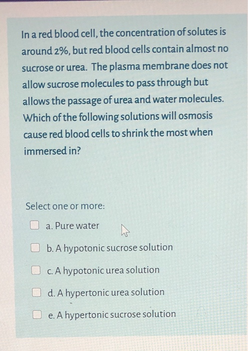Solved In a red blood cell, the concentration of solutes is | Chegg.com