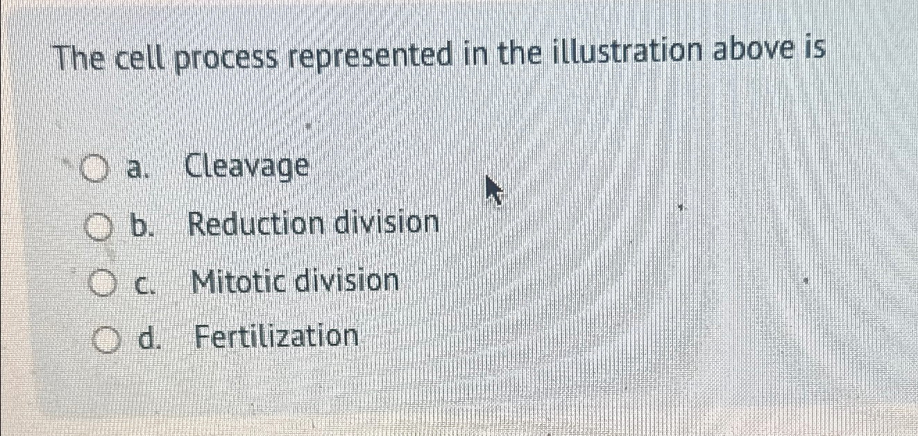Solved The cell process represented in the illustration | Chegg.com