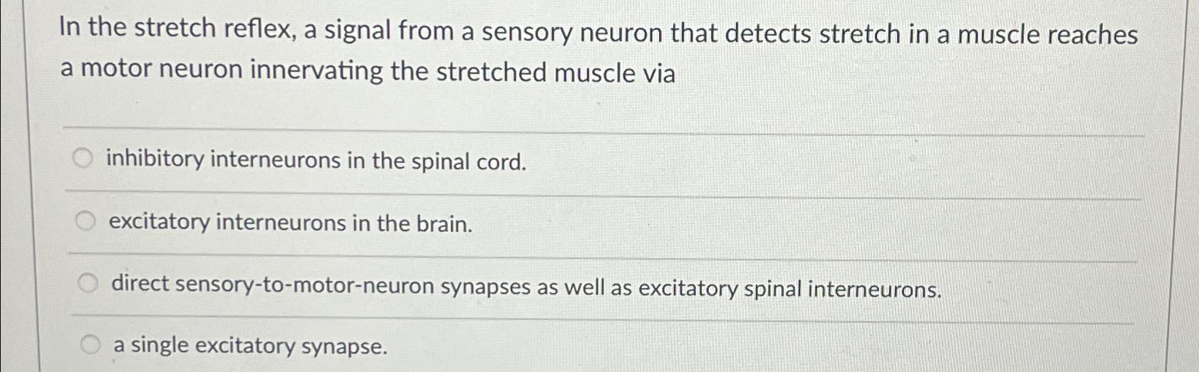 Solved In the stretch reflex, a signal from a sensory neuron | Chegg.com