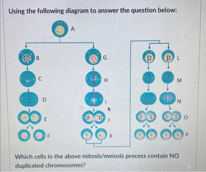 Solved Using the following diagram to answer the question | Chegg.com