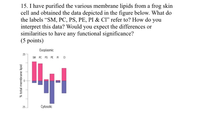 Solved 15. I have purified the various membrane lipids from | Chegg.com