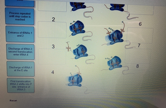Solved Please place the steps in the correct order to assess | Chegg.com