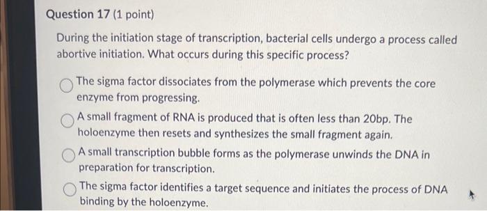 Solved During the initiation stage of transcription, | Chegg.com