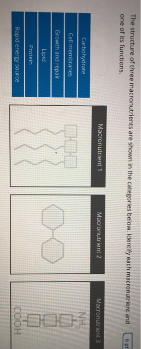 Solved The structure of three macronutrients are shown in | Chegg.com