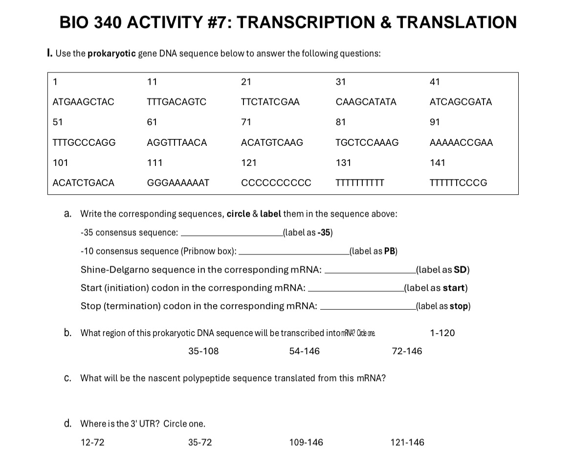 Solved BIO 340 ﻿ACTIVITY #7: TRANSCRIPTION & TRANSLATIONI. | Chegg.com