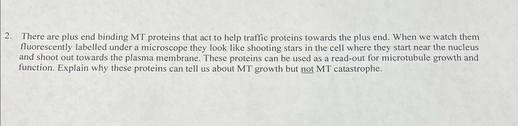 Solved There are plus end binding MT proteins that act to | Chegg.com