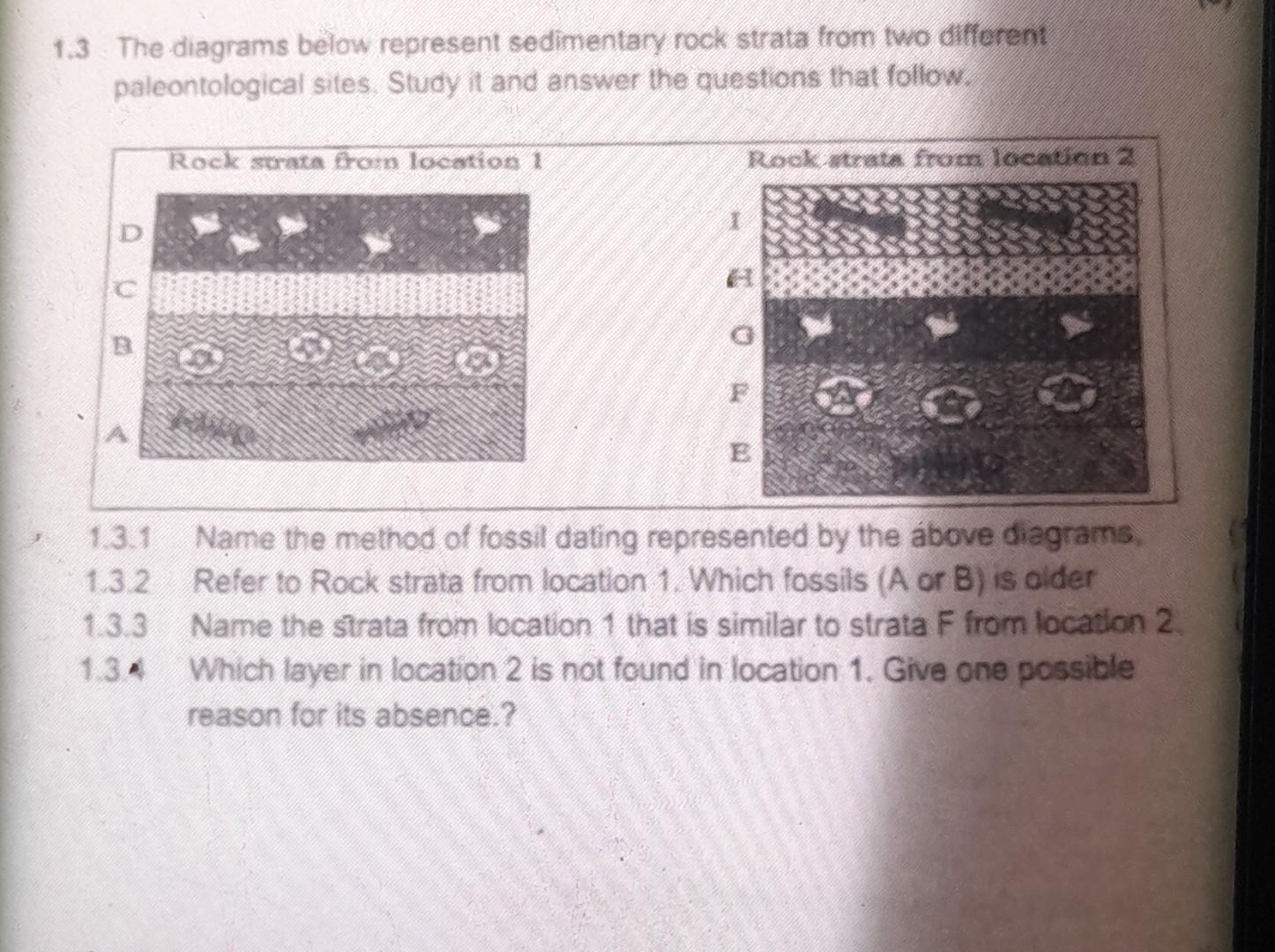 Solved 1.3 The diagrams below represent sedimentary rock | Chegg.com