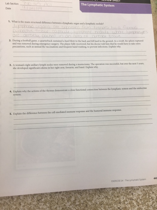 Solved Lab Section The Lymphatic System Date 1. What is the | Chegg.com