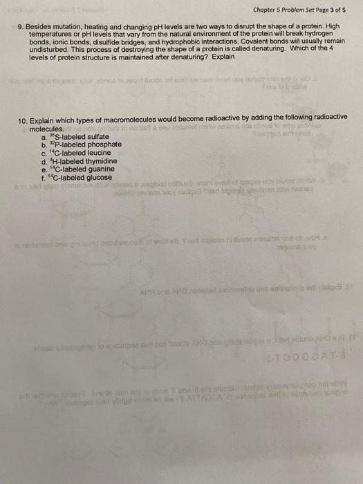 Chapter 5 Problem Set Page 2 of 5 5. What are the | Chegg.com