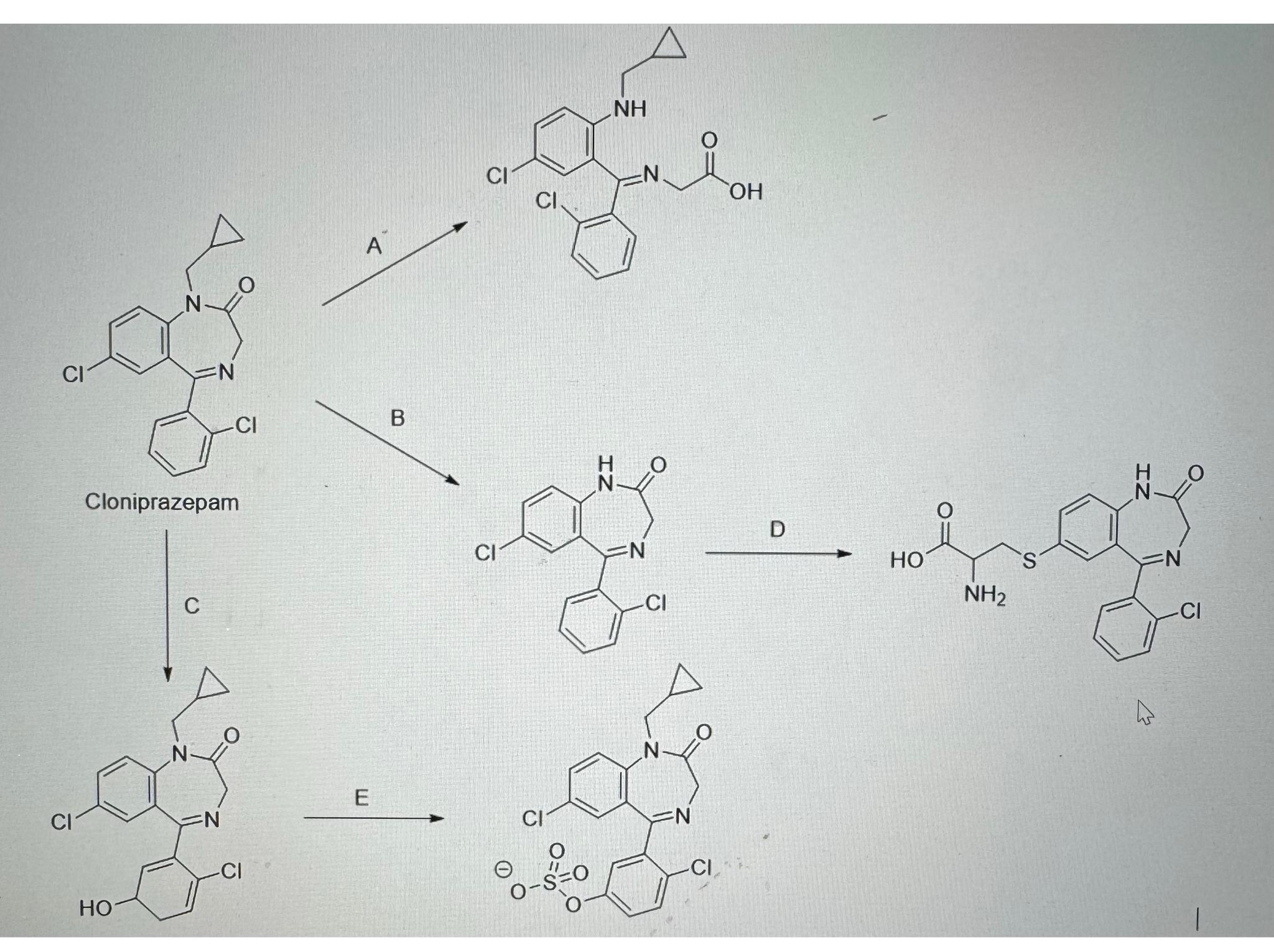 Solved Fill In The Enzyme And Any Cofactorreactant Needed 3491