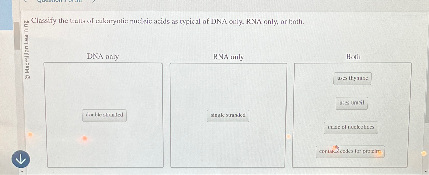 Solved no Classify the traits of eukaryotic nucleic acids as | Chegg.com