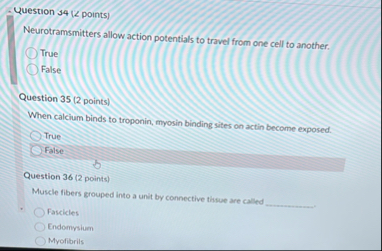 Solved Question 34 (2 ﻿points)Neurotramsmitters allow action | Chegg.com