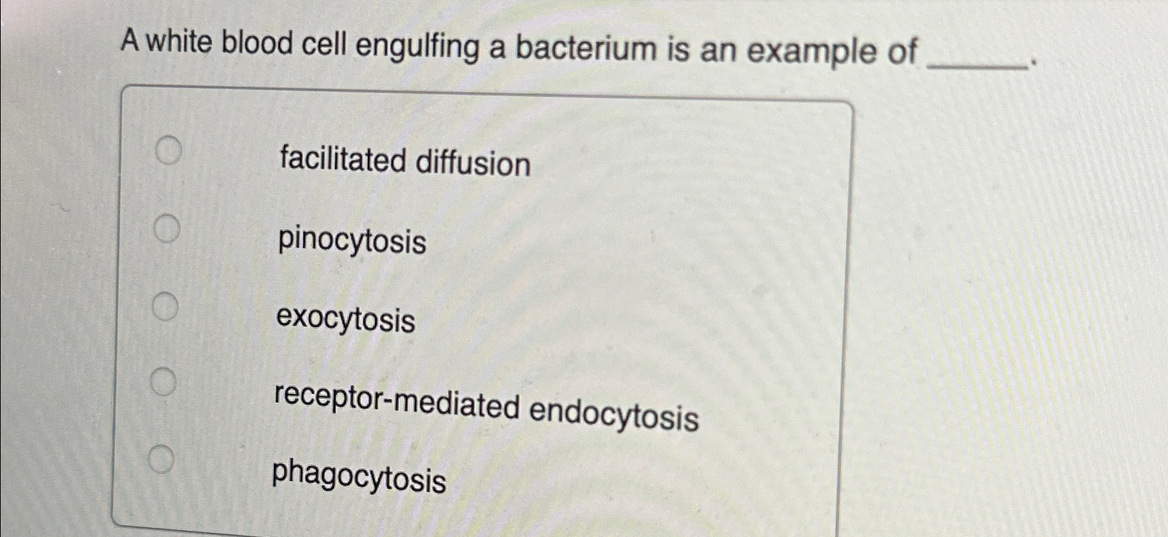Solved A white blood cell engulfing a bacterium is an | Chegg.com