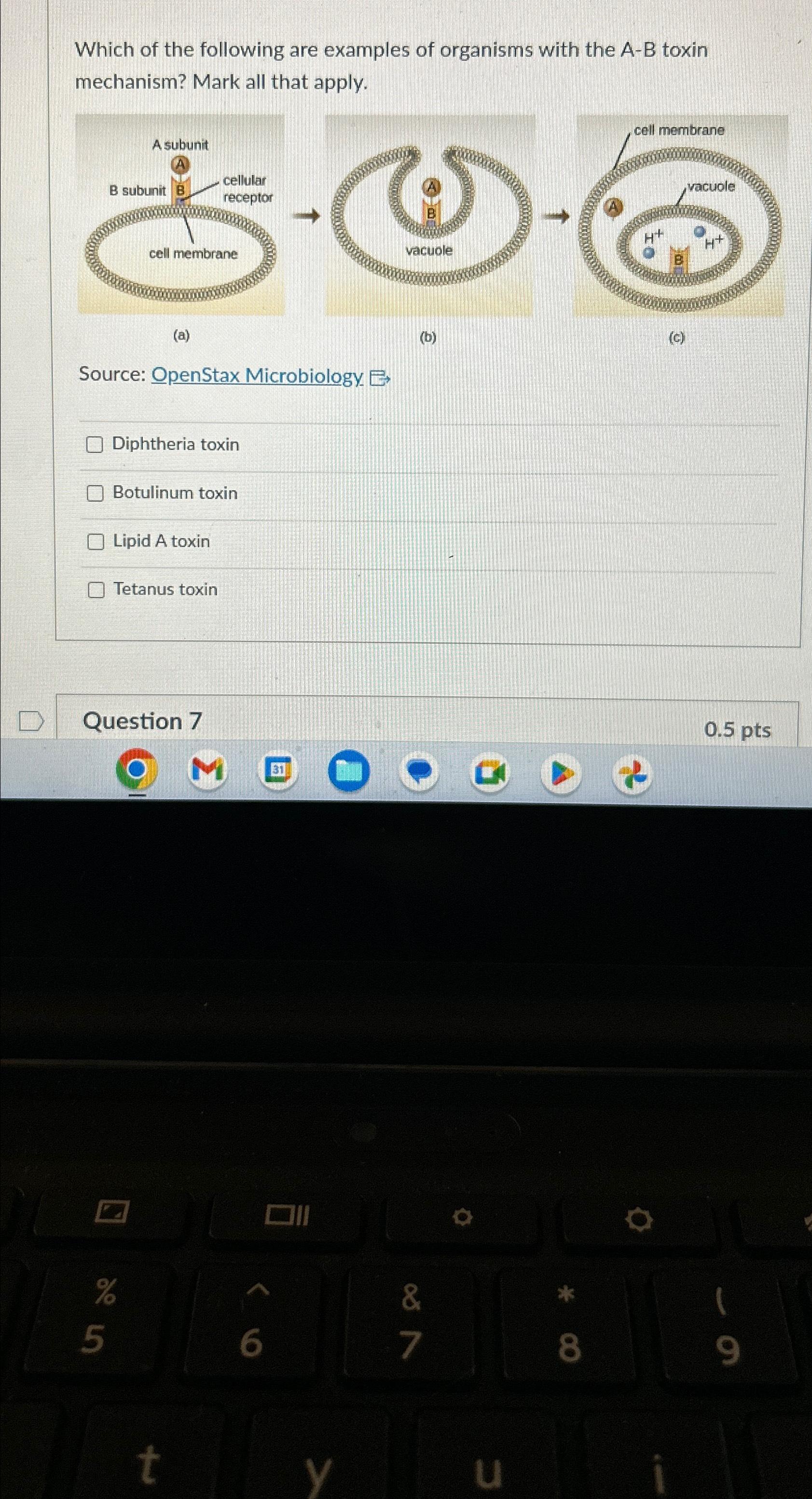 Solved Which of the following are examples of organisms with | Chegg.com