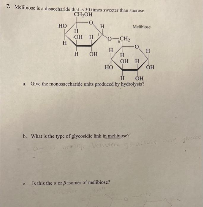 Solved 7. Melibiose is a disaccharide that is 30 times | Chegg.com