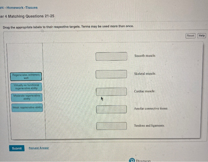 Solved #4 - Homework - Tissues cer 4 Matching Questions | Chegg.com Solved #4 - Homework - Tissues cer 4 Matching Questions | Chegg.com