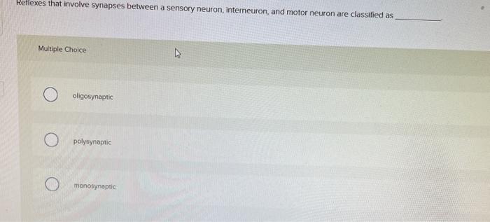 Solved Reflexes that involve synapses between a sensory | Chegg.com