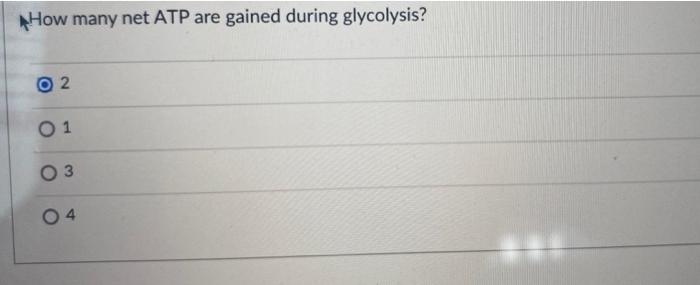 Solved How many net ATP are gained during glycolysis? 2 O 1 | Chegg.com