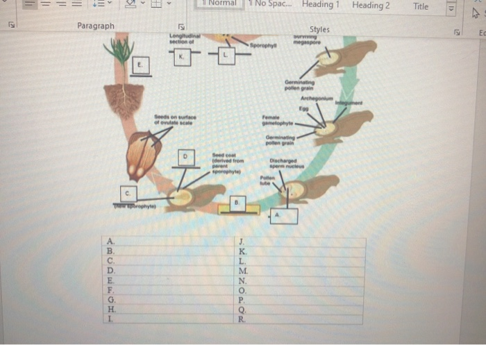 Solved 7. Identify the indicated structures in the pine life | Chegg.com
