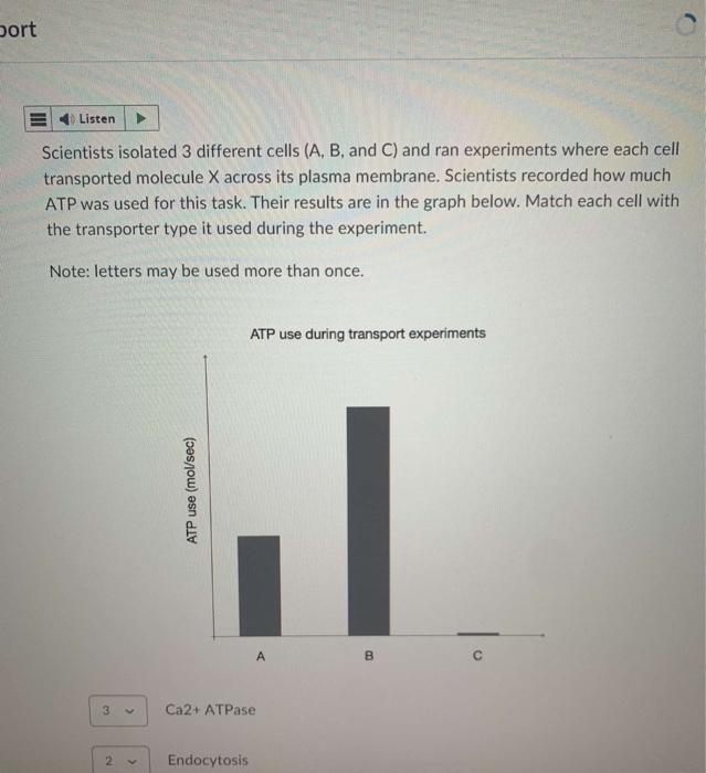 does anyone know the answer to this? | Chegg.com
