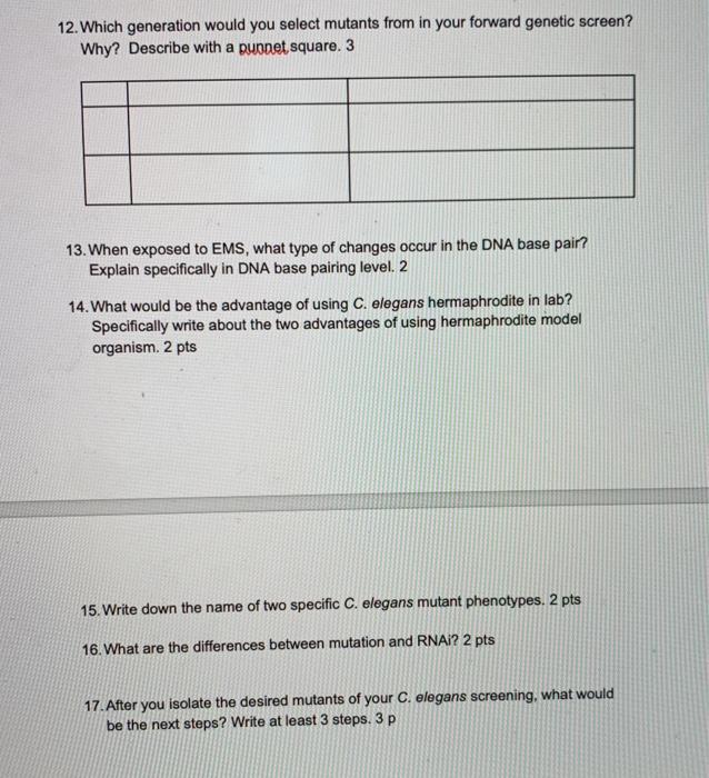 1. Suppose you have a primer 5'- CCGA-3'. Show on the | Chegg.com