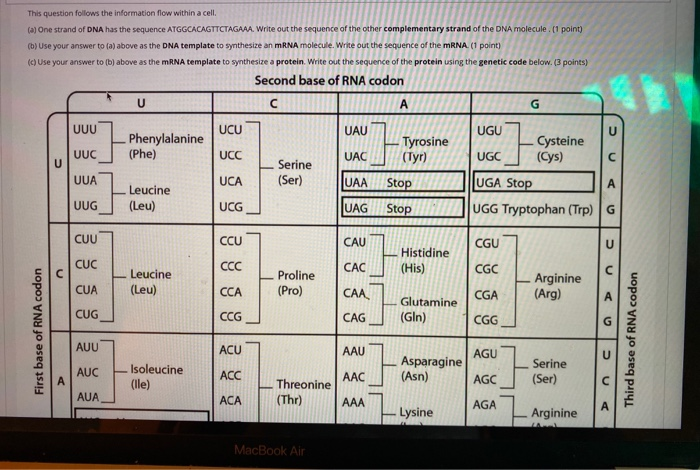 Solved This question follows the information flow within a | Chegg.com