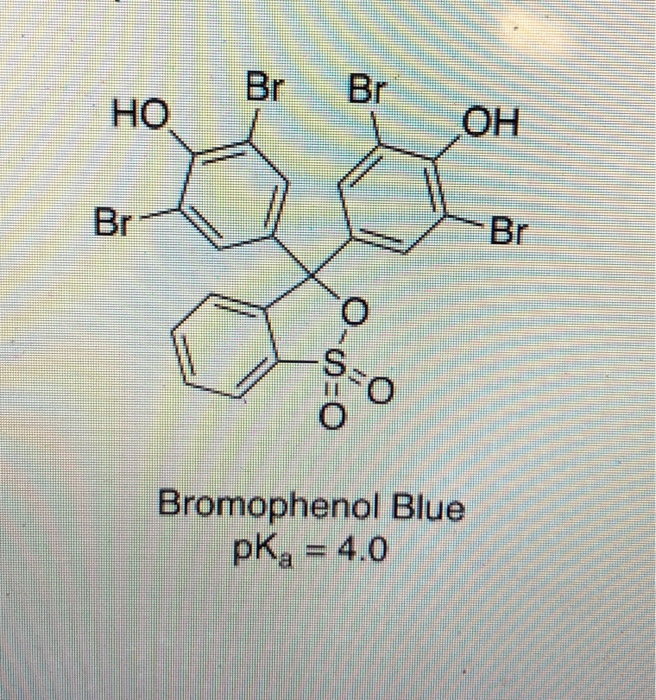 Solved The strucuture from part a is Bromophenol blue and it | Chegg.com