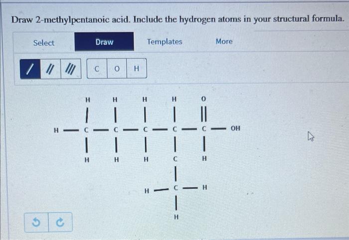 Solved Draw 2-methylpentanoic acid. Include the hydrogen | Chegg.com