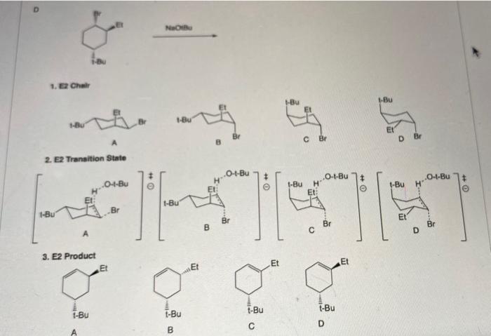 Solved D 1. Ez Chalr A. B C D 2. E2 Transition State 3. E2 | Chegg.com