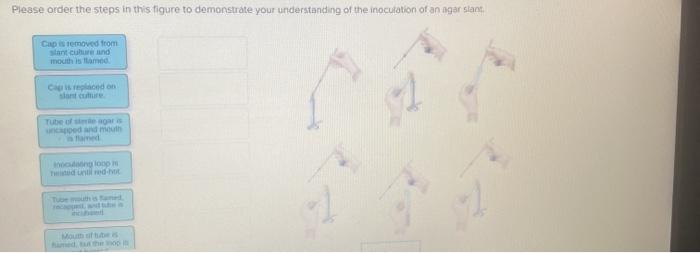 Solved Please order the steps in this figure to demonstrate | Chegg.com