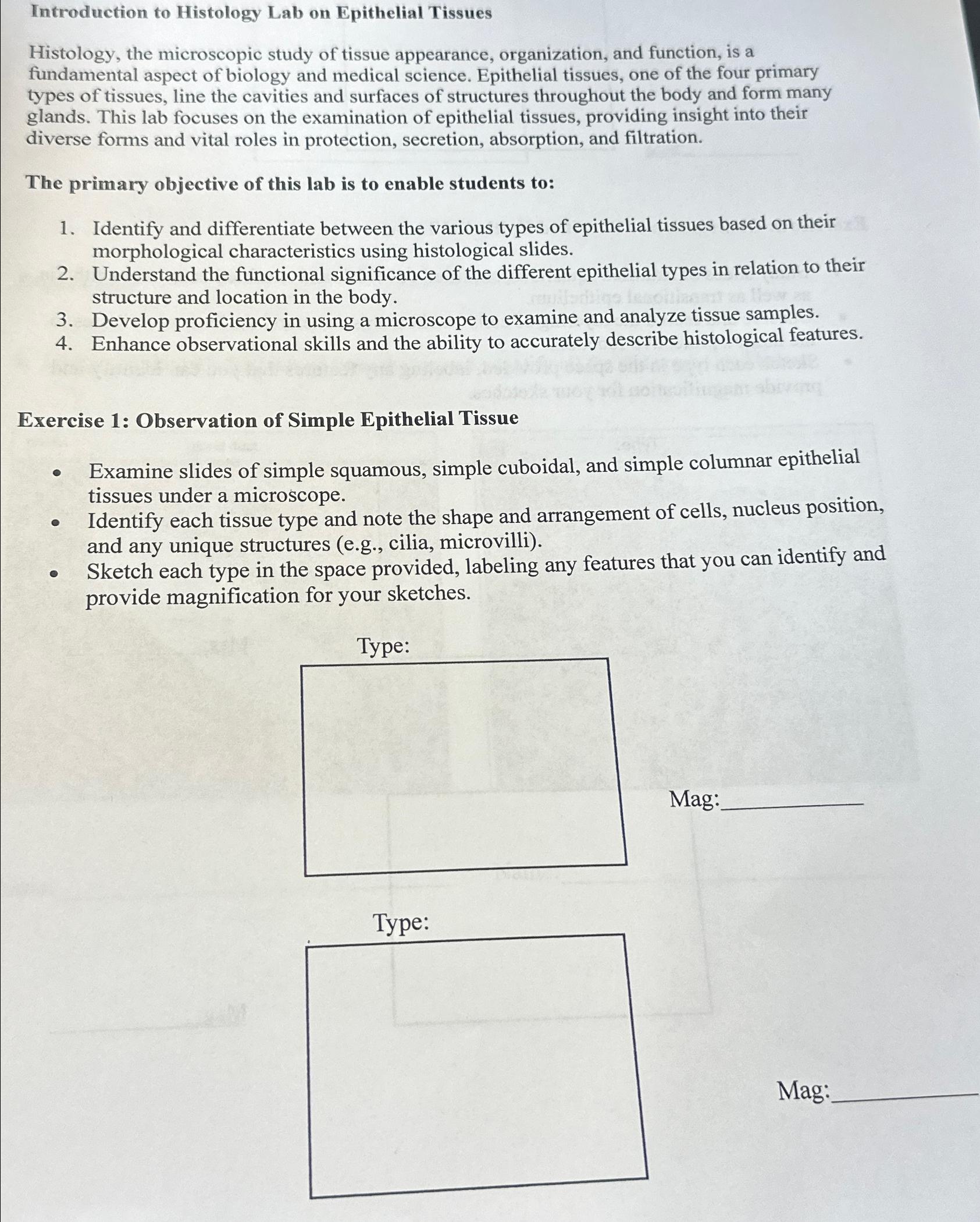 Solved Introduction to Histology Lab on Epithelial | Chegg.com
