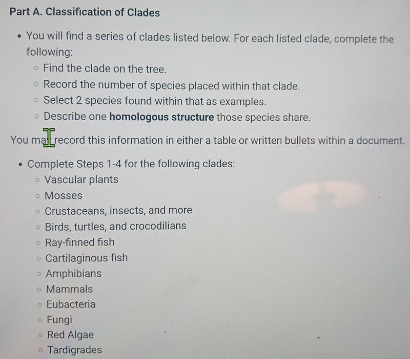 Solved Part A. ﻿Classification of CladesYou will find a | Chegg.com