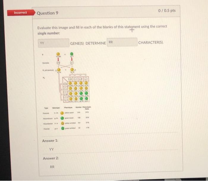 please give me the correct answer this question , | Chegg.com