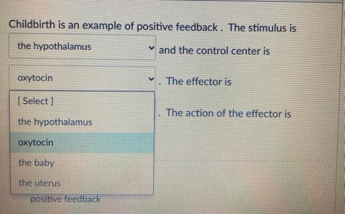 Solved Childbirth is an example of positive feedback. The | Chegg.com