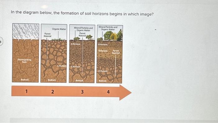 Solved In the diagram below, the formation of soil horizons | Chegg.com
